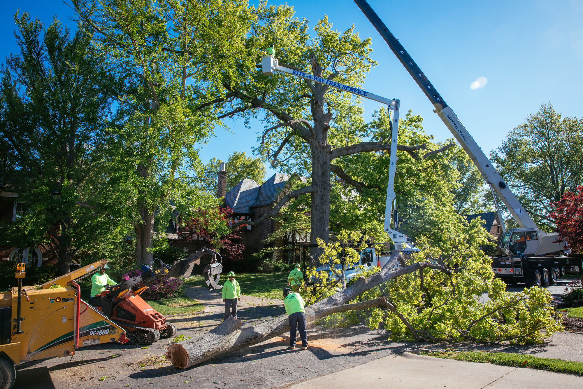 Home - Rite-A-Way Tree and Landscape Services